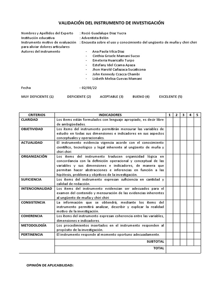 VALIDACIÓN DEL INSTRUMENTO DE INVESTIGACIÓN (2) MMMM | PDF ...