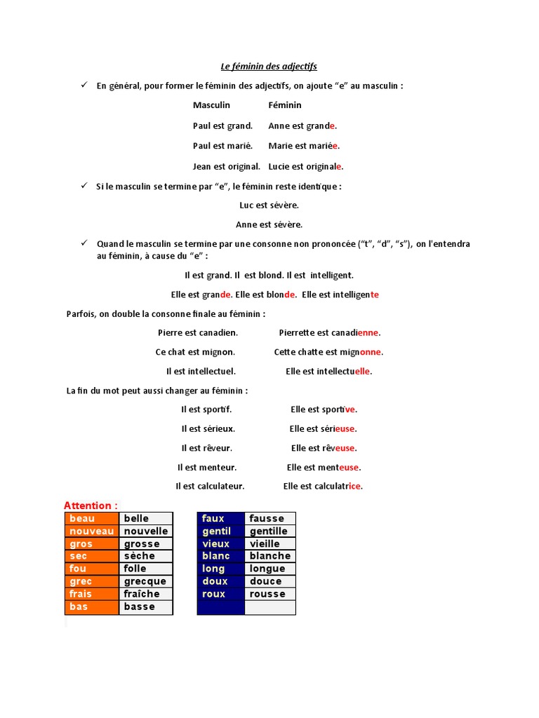 Formation du féminin des adjectifs | PDF