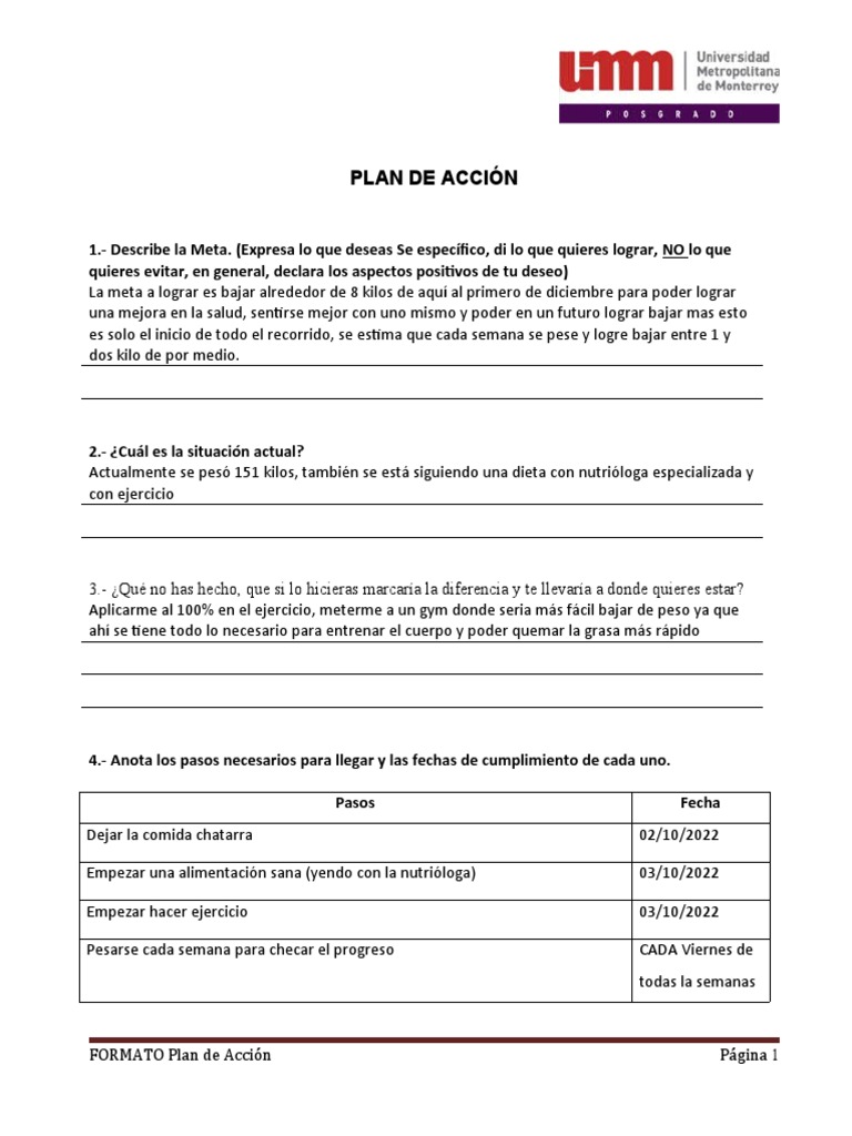 Plan de Acción | PDF | Dieta