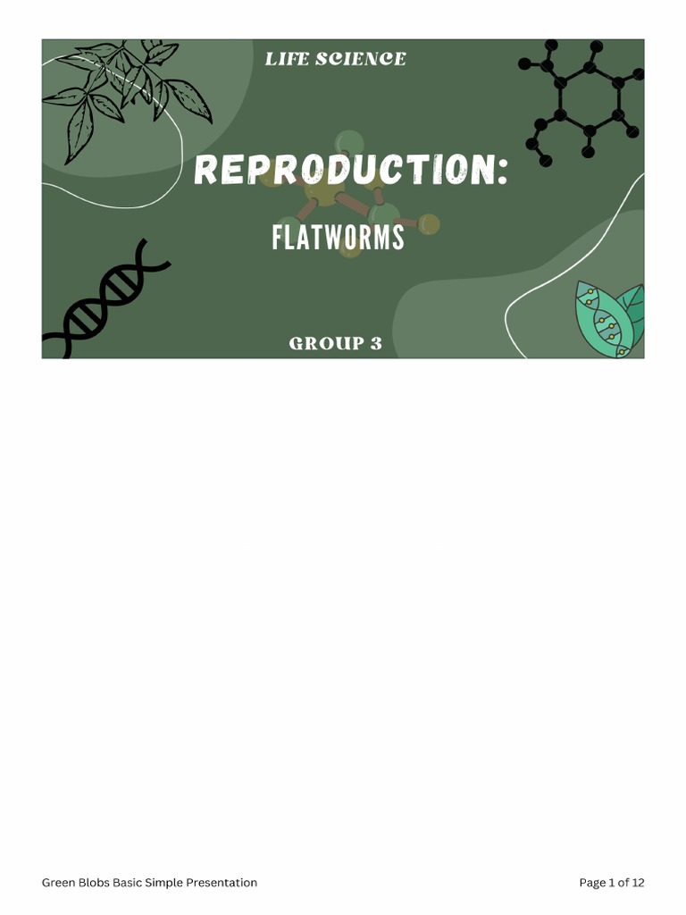 Green Blobs Basic Simple Presentation | PDF