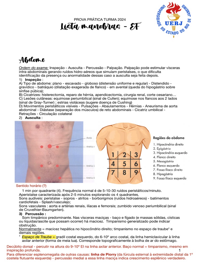 Manobras abdominais: guia completo para a inspeção, ausculta, percussão ...