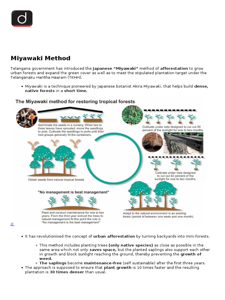 Miyawaki Method of Afforestation | PDF | Forests | Trees