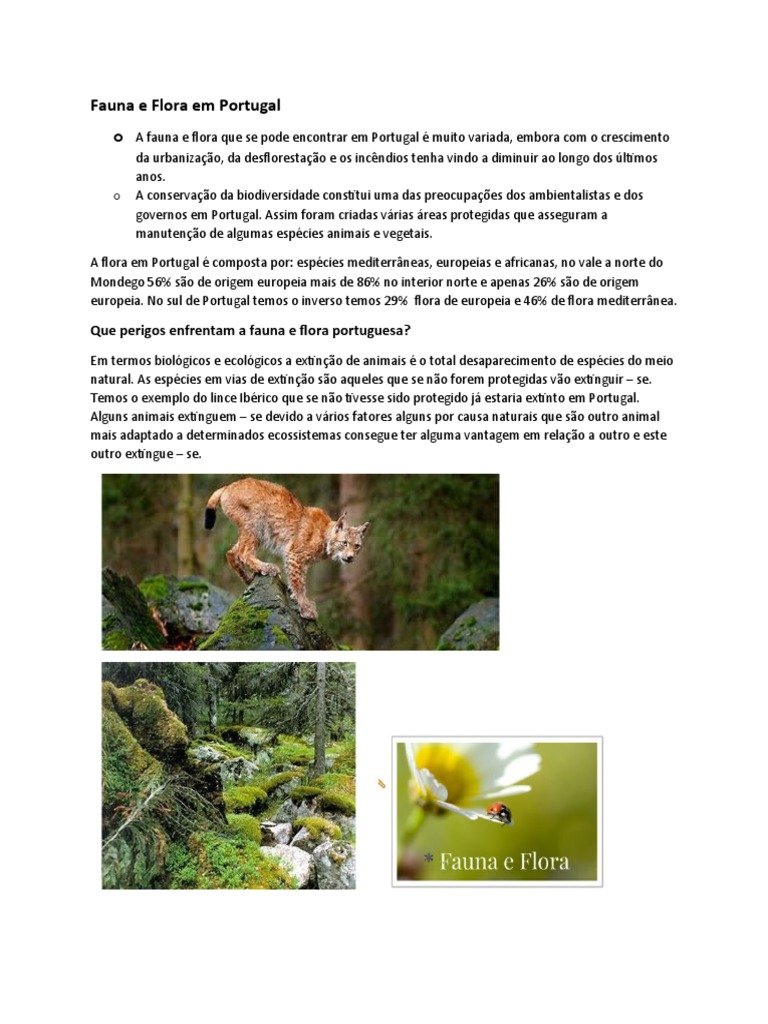 Fauna e Flora | PDF