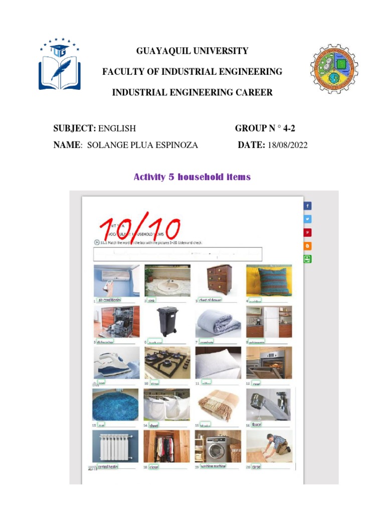 Activity 5 Household Items | PDF