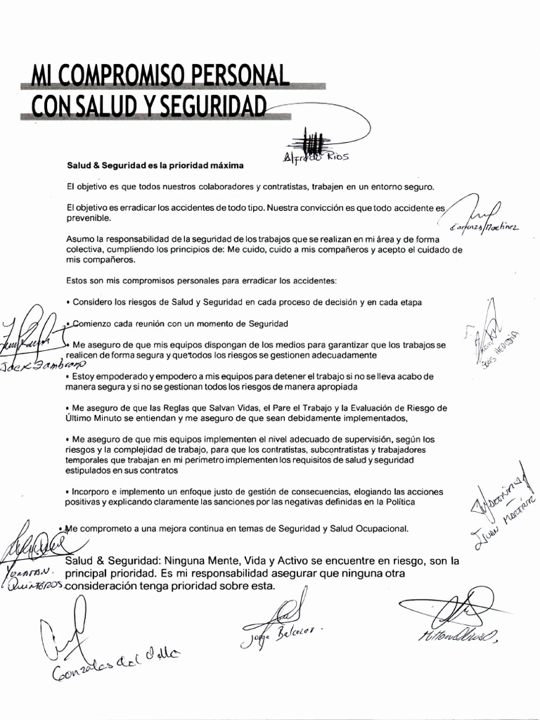Mi Compromiso Personal Con Seguridad y Salud | PDF