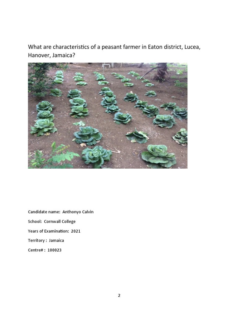 Calvin Sba FINAL 2021 | PDF | Farms | Agriculture