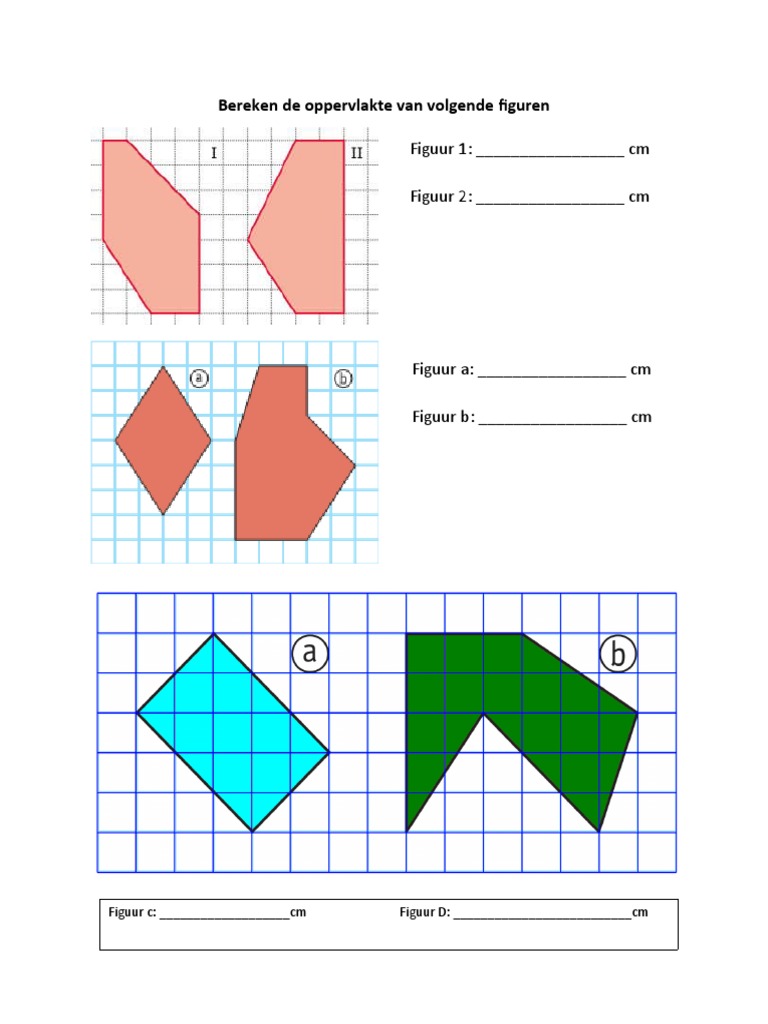 Bereken de Oppervlakte Van Volgende Figuren | PDF