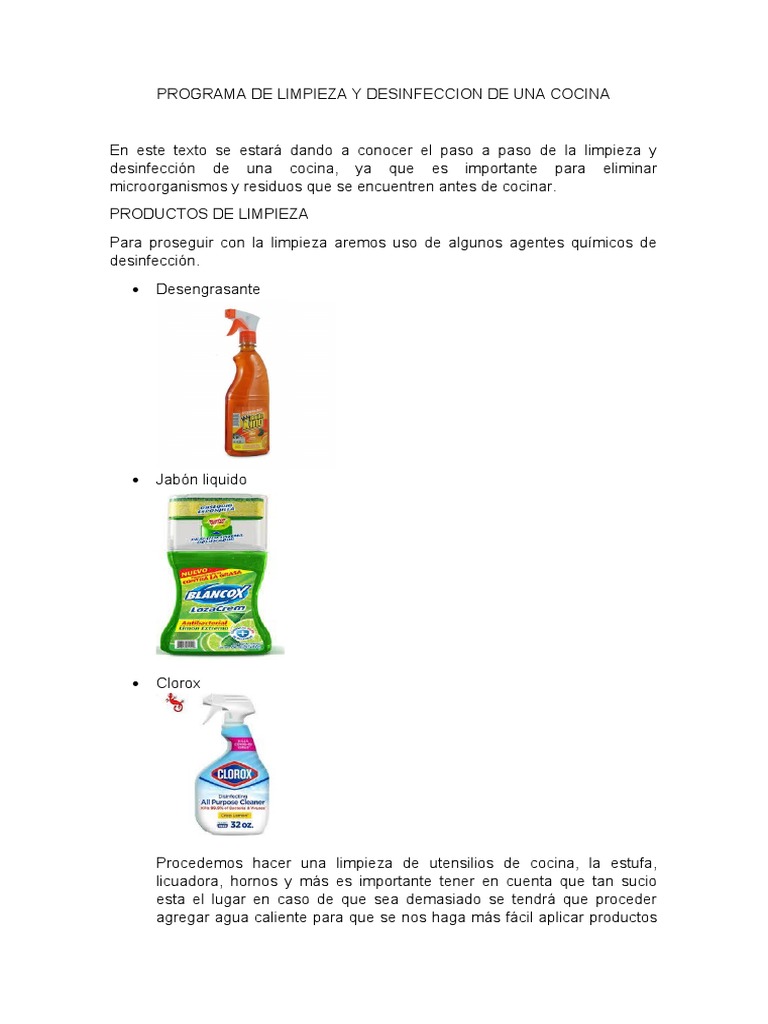 PROGRAMA DE LIMPIEZA Y DESINFECCION DE UNA COCINA Paula | PDF