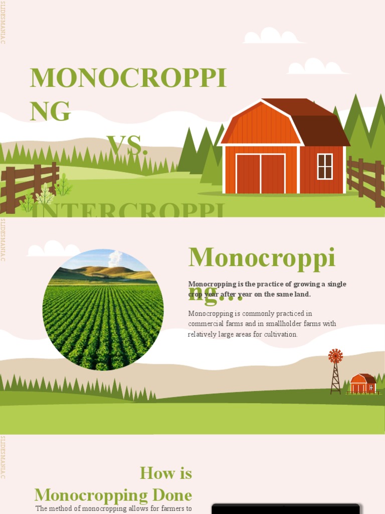 Inter & Mono-Cropping | PDF | Agriculture | Soil
