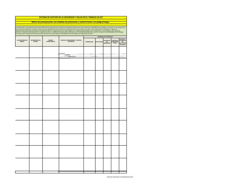 FSST 001 Formato Jerarquizacion (1) - 3 | PDF