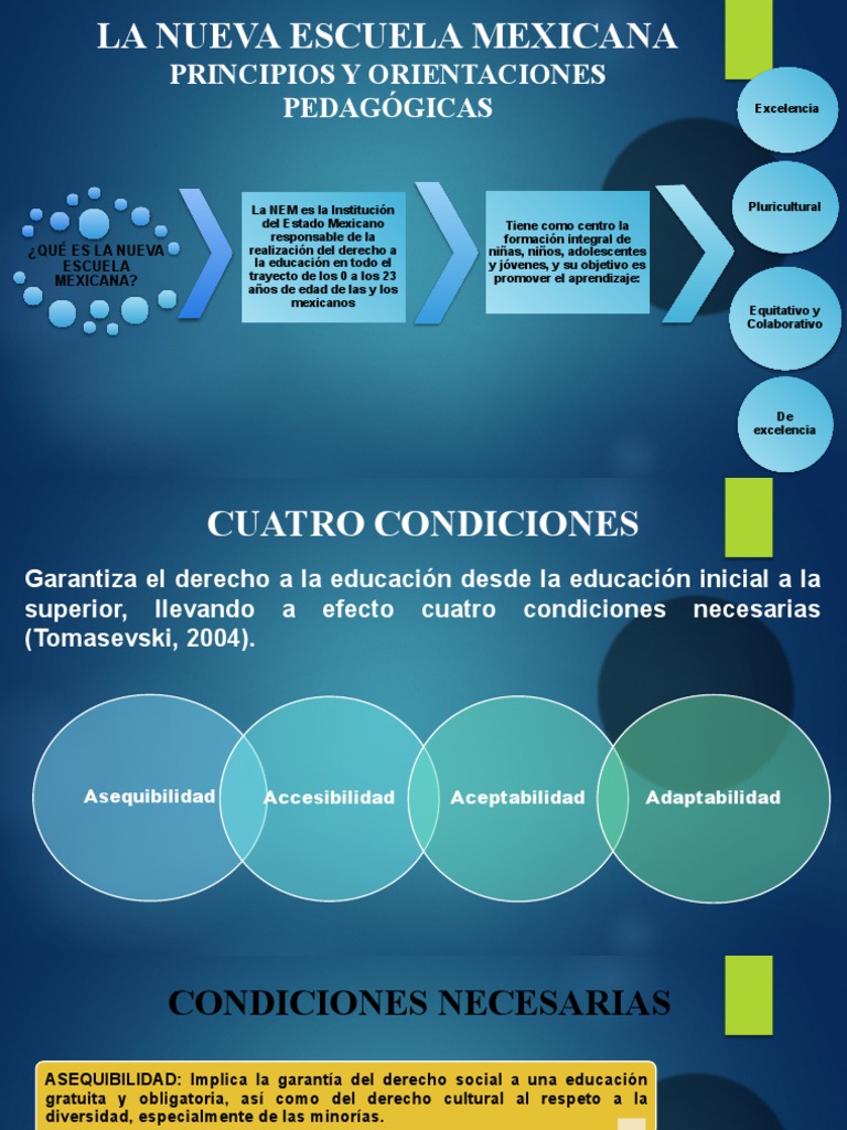 Principios y Condiciones de la NEM | PDF | Aprendizaje | Educación de la primera infancia