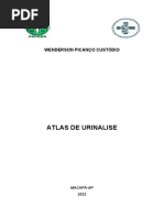 Atlas de Urinálise: Análise Completa | PDF