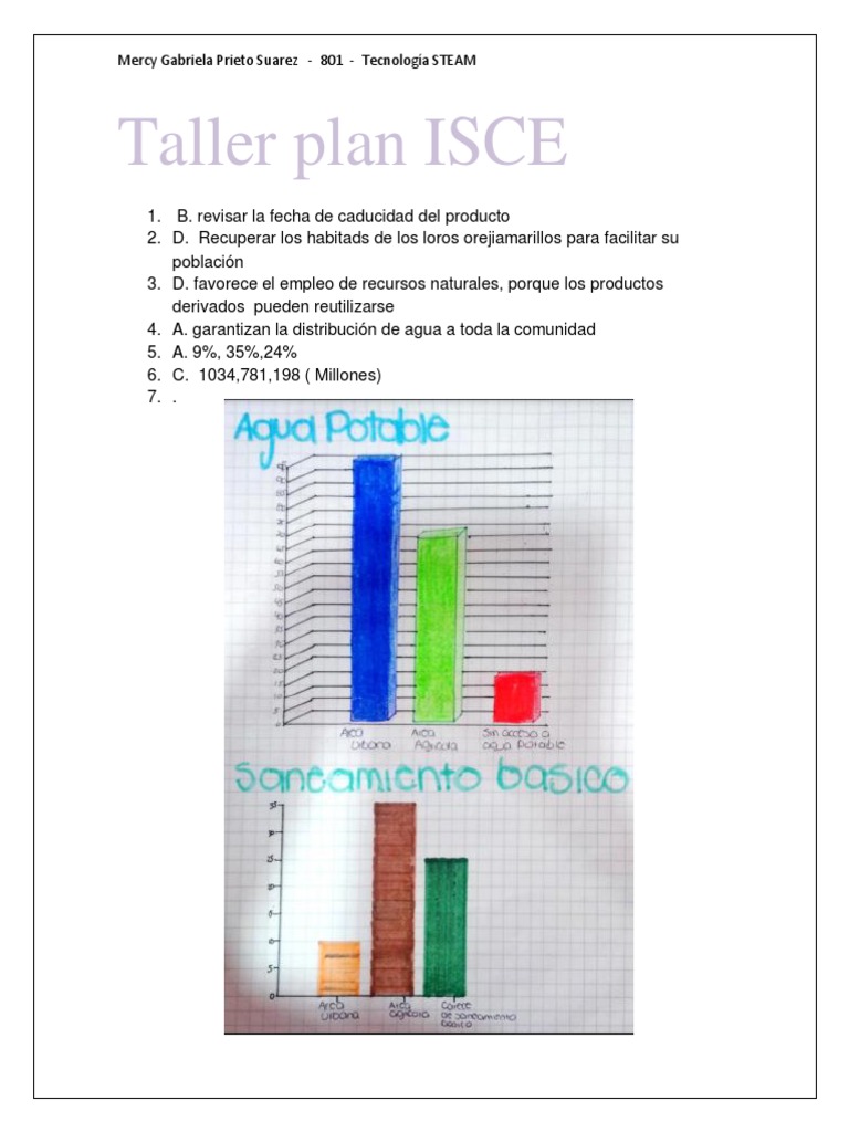 Taller Plan ISCE | PDF