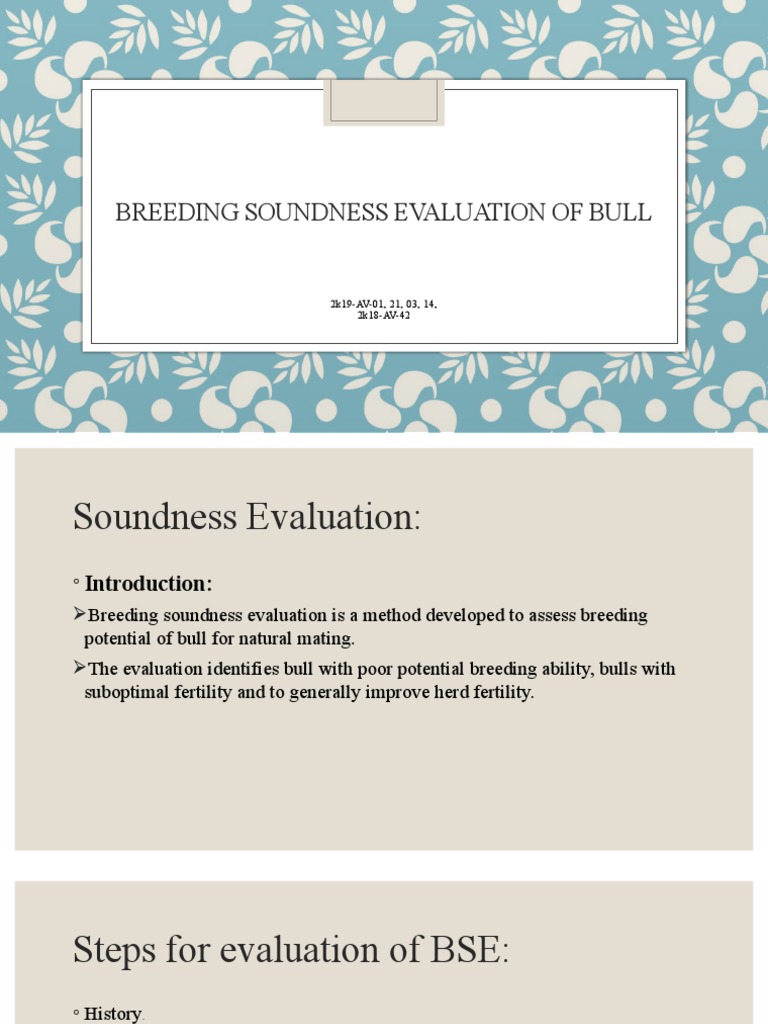 Breeding Soundness Evaluation of Bull - THER-601.prctl | Download Free ...
