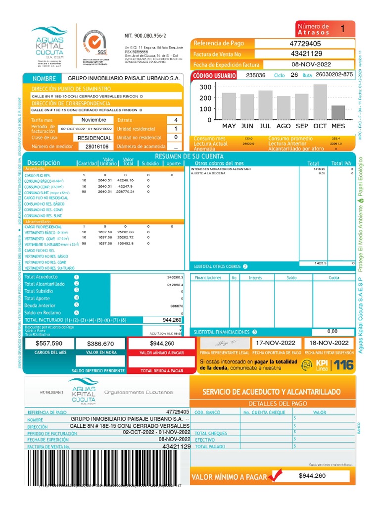 Factura 202211 | PDF