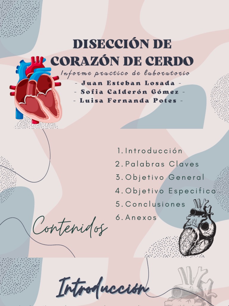 Hoja De Trabajo De Disección De Feto De Cerdo Primerizas: Tips Para