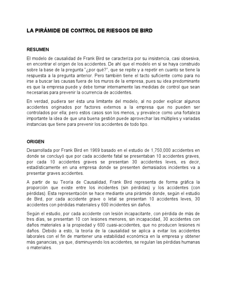 La Pirámide de Control de Riesgos de Bird | PDF | Comportamiento | Business