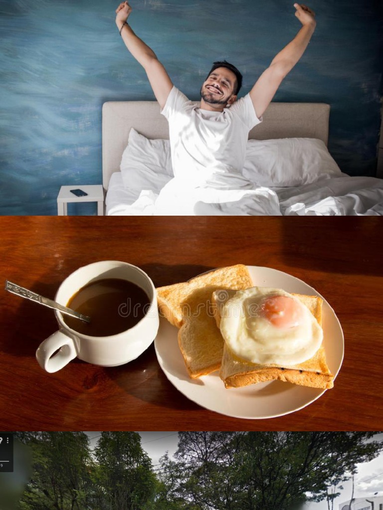 Presentación - Ingles (Daily Routine) | PDF