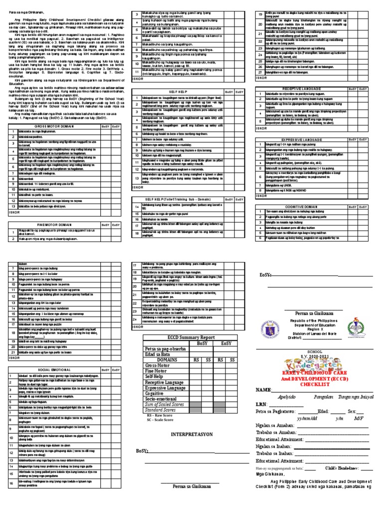ECCD Checklist For Invididual Learners Record | PDF