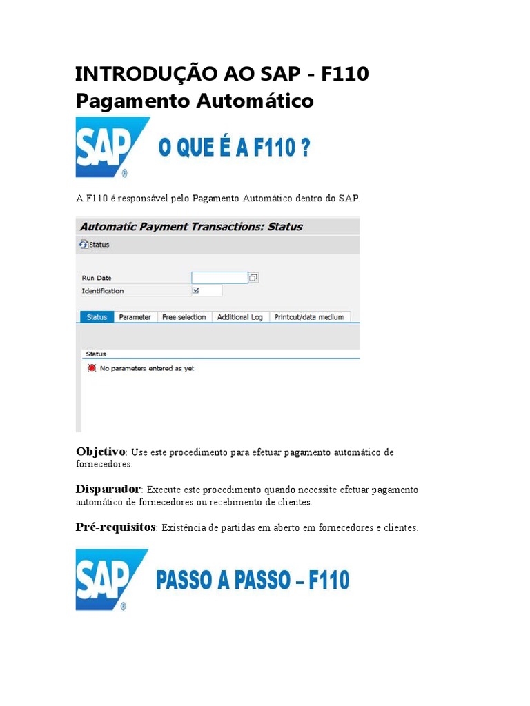 INTRODUÇÃO AO SAP - F110 Pagamento Automático | PDF | Contabilidade ...