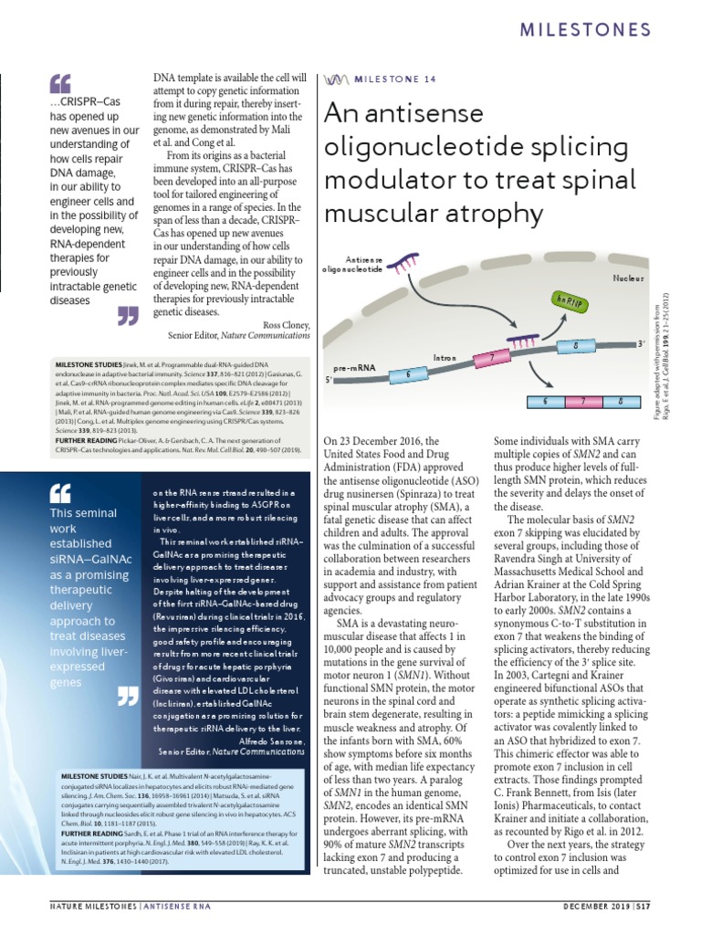 An Antisense Oligonucleotide Splicing Modulator To Treat Spinal ...