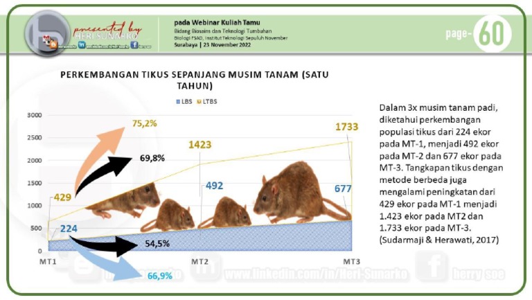 Perkembangan Populasi Tikus | PDF