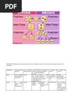 Cuadro Comparativo Entre Mitosis y Meiosis | PDF