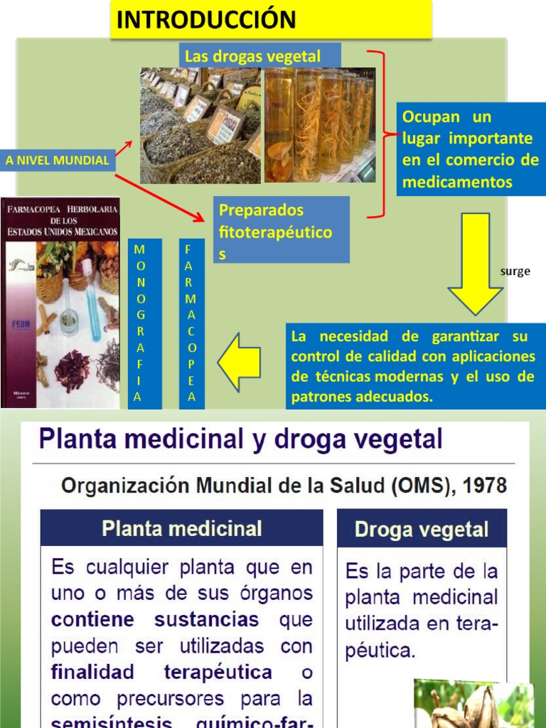 Drogas Vegetales | PDF | Tallo de la planta | Hoja