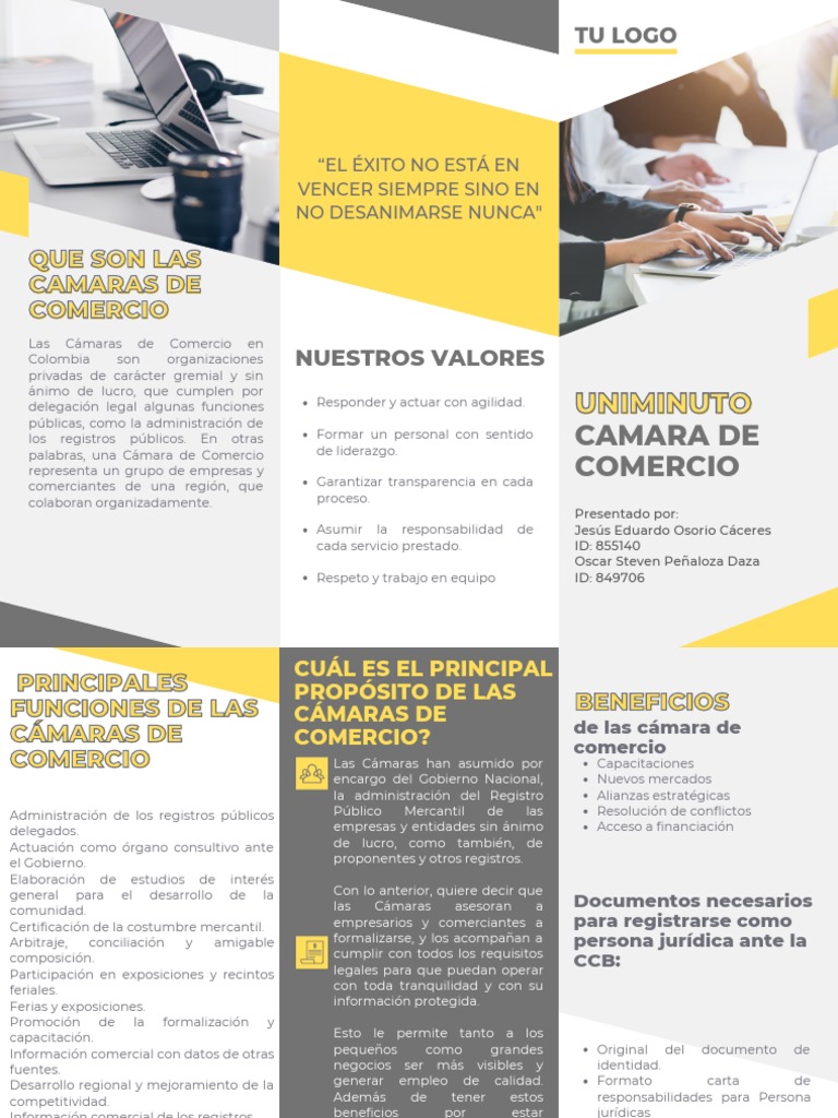 Folleto Brochure de Servicios Empresa Profesional Amarillo | PDF ...