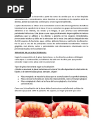 La Placa Bacteriana | PDF