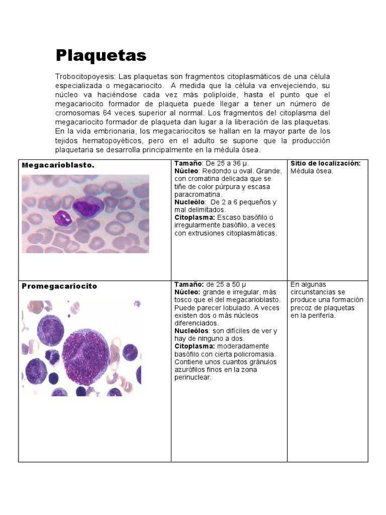 Plaquetas | PDF | Plaqueta | Sangre
