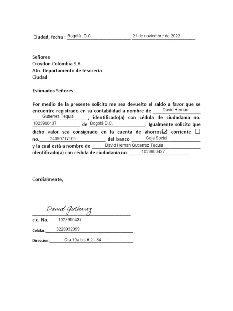 Formato Dev Dinero | PDF