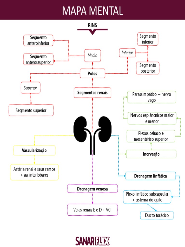 Mapa Mental Rins | PDF