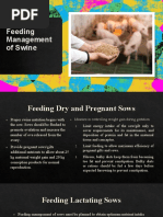 Pig Medication Schedule | PDF