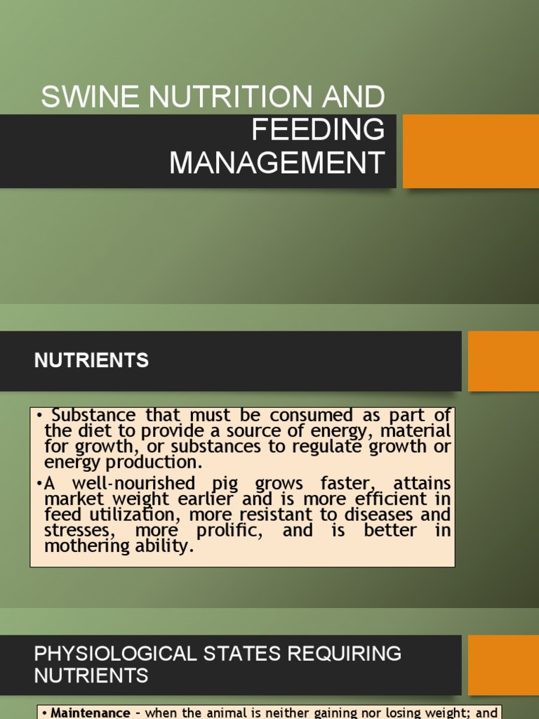 Ans143 - Swine Nutrition and Feeding Management | PDF | Nutrients ...