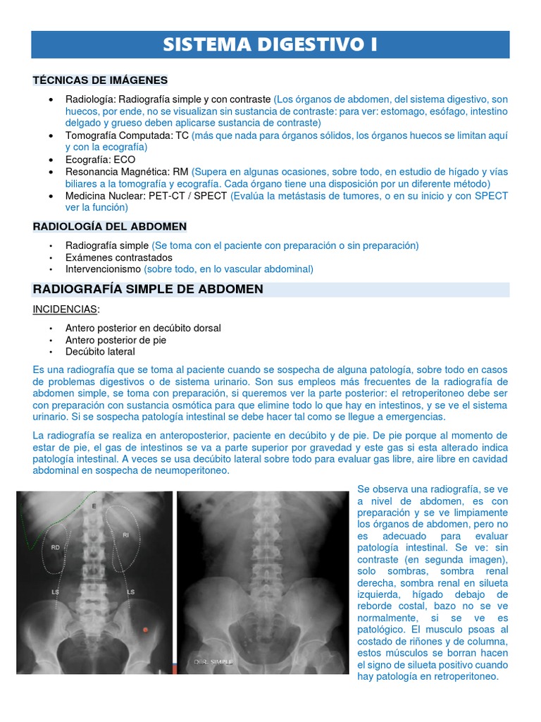 Radiografía Simple del Abdomen | PDF | Abdomen | Estómago