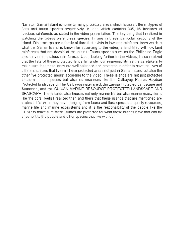 Mini Vlog Script | PDF