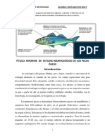 6 Osteichthyes | PDF | Cráneo | Pescado