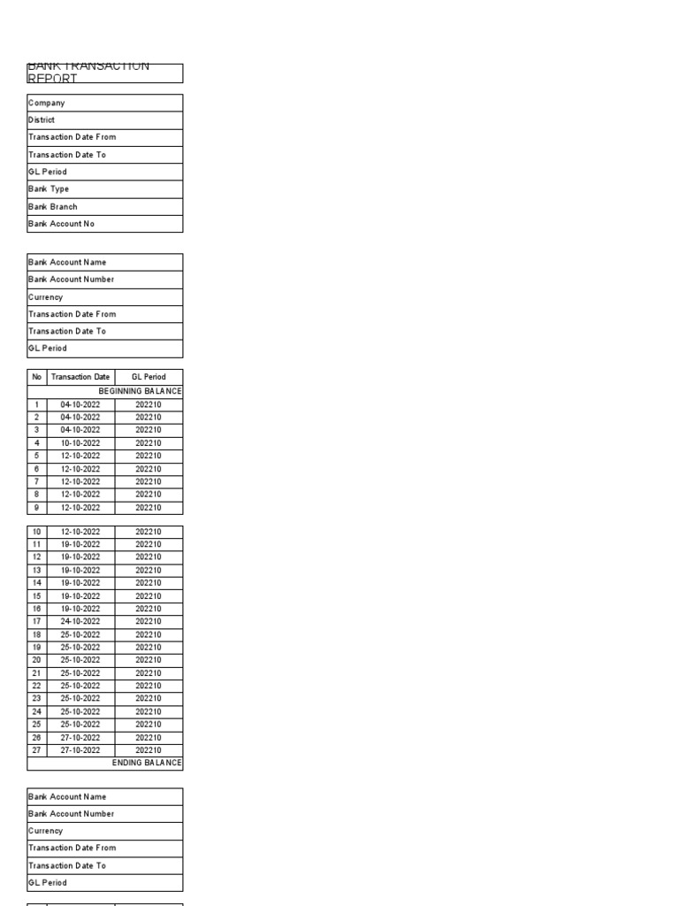 Bank Transaction Report | PDF