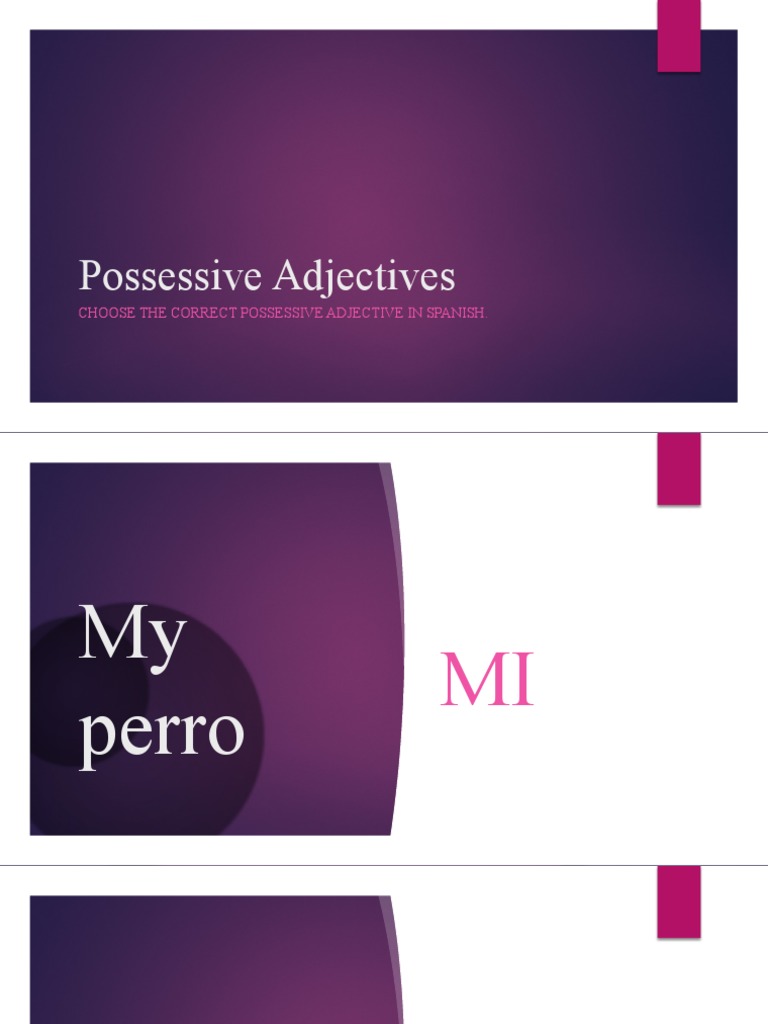 Possessive Adjective Practice Power Point | PDF