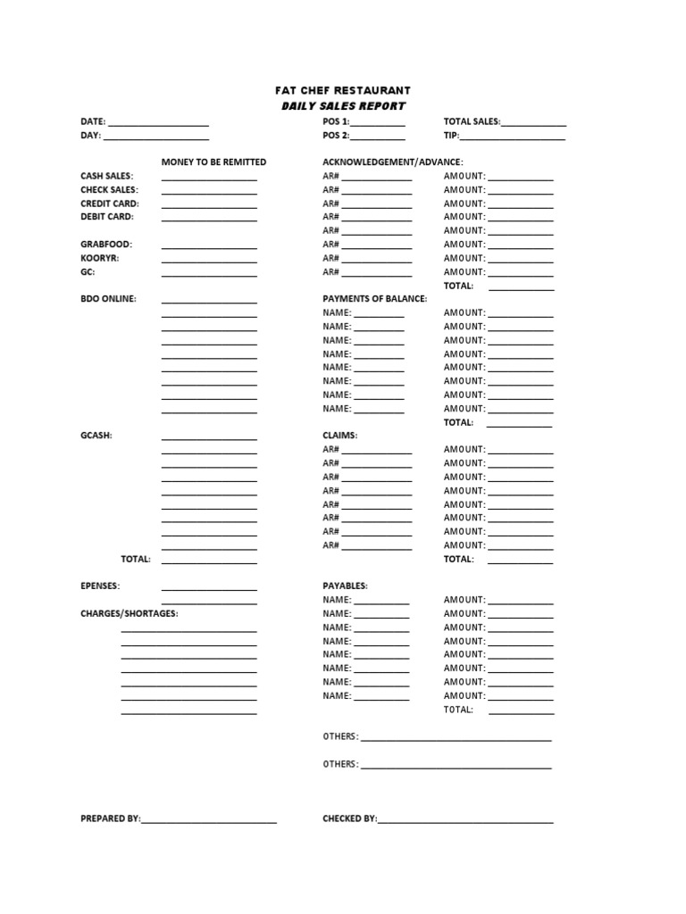 DSR Format | PDF | Point Of Sale | Trade