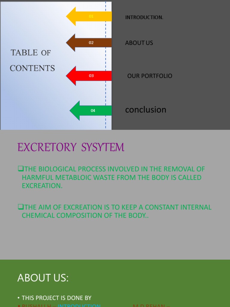 Biology Project 10th | PDF | Kidney | Excretion