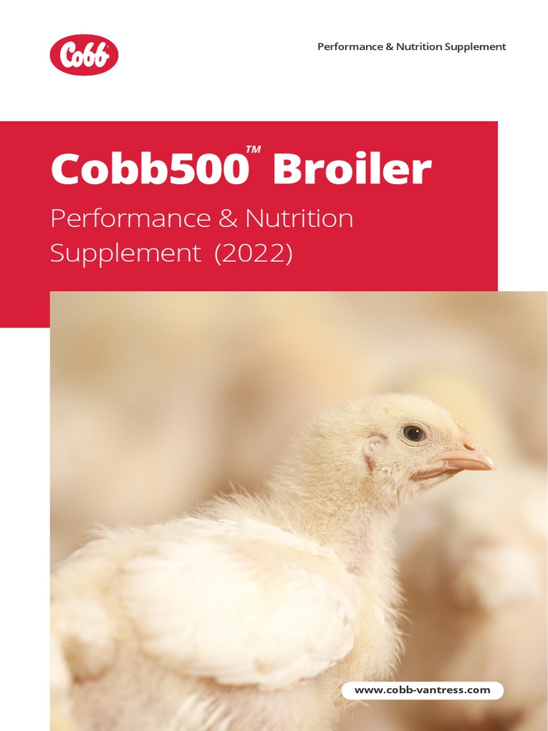 2022 Cobb500 Broiler Performance Nutrition Supplement | PDF | Broiler ...