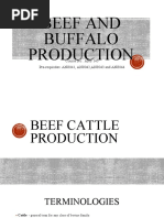 Overview of The Beef Cattle Industry | PDF