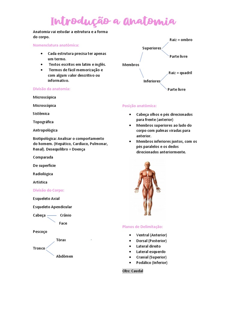 Introdução aos conceitos básicos da anatomia | PDF | Anatomia ...
