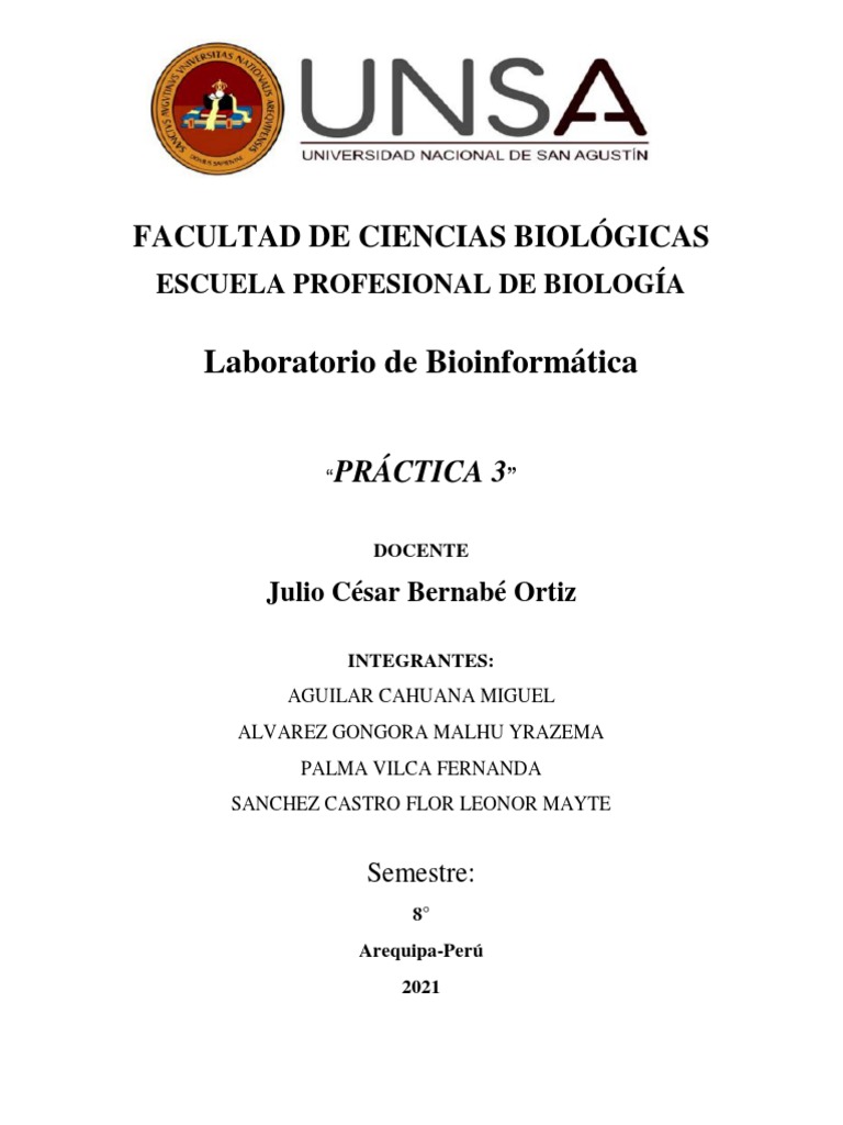 Práctica 3 Pdf