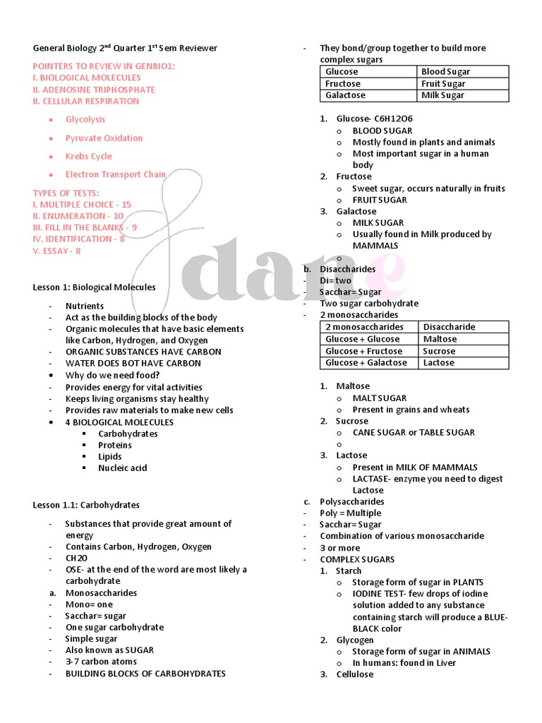 Biology Exam Study Guide | PDF | Adenosine Triphosphate | Carbohydrates