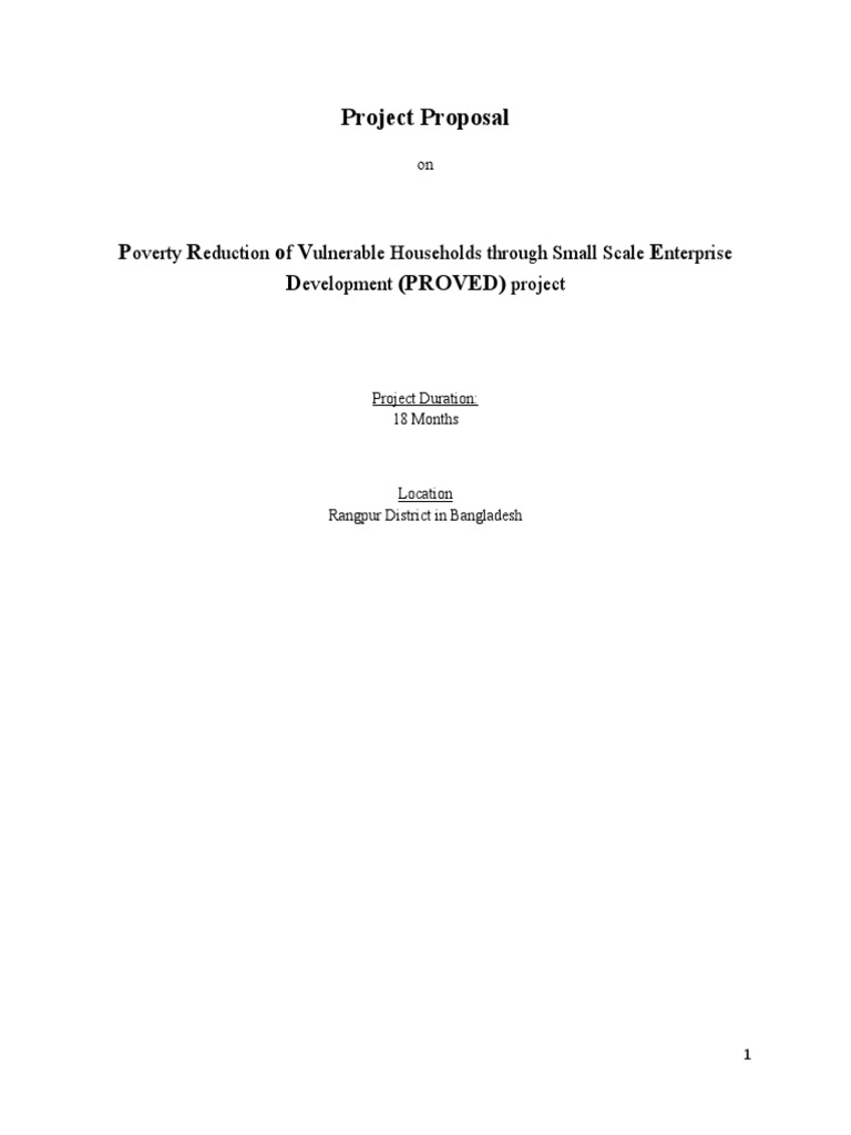 Project Proposal | PDF | Microfinance | Evaluation