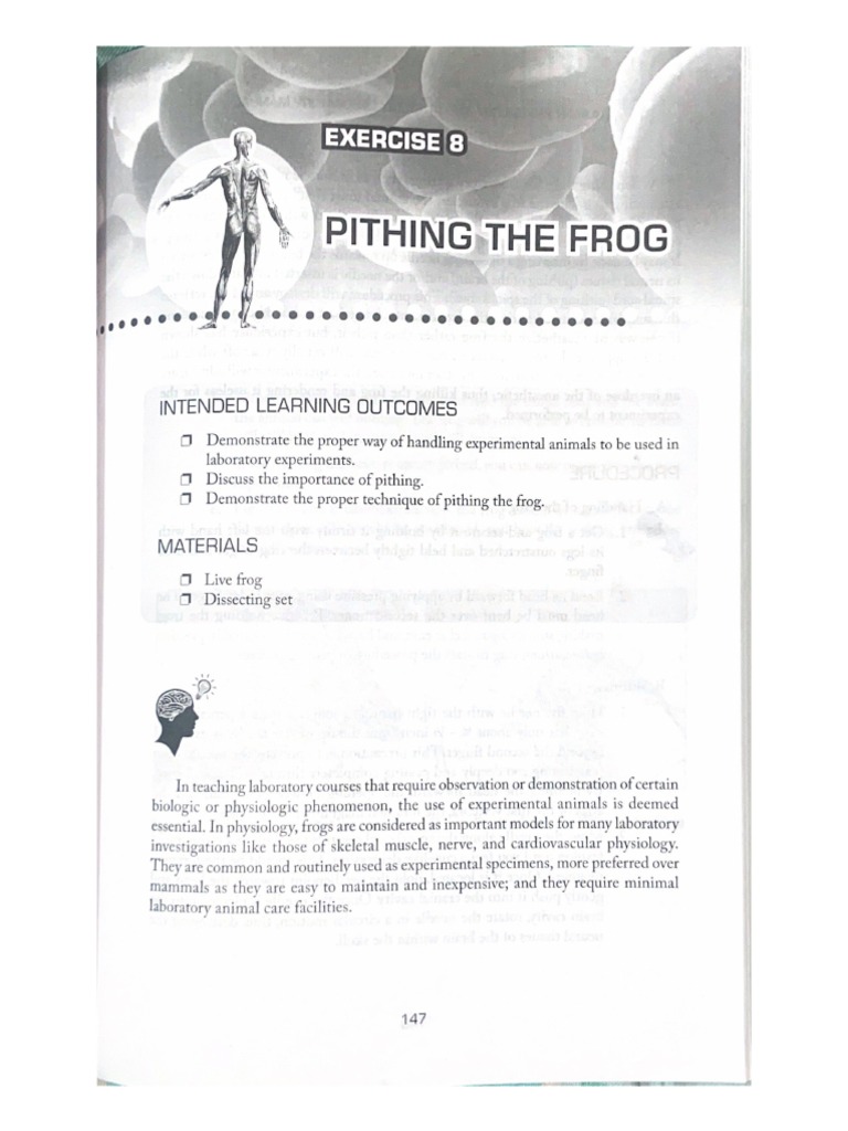 Pithing The Frog | PDF