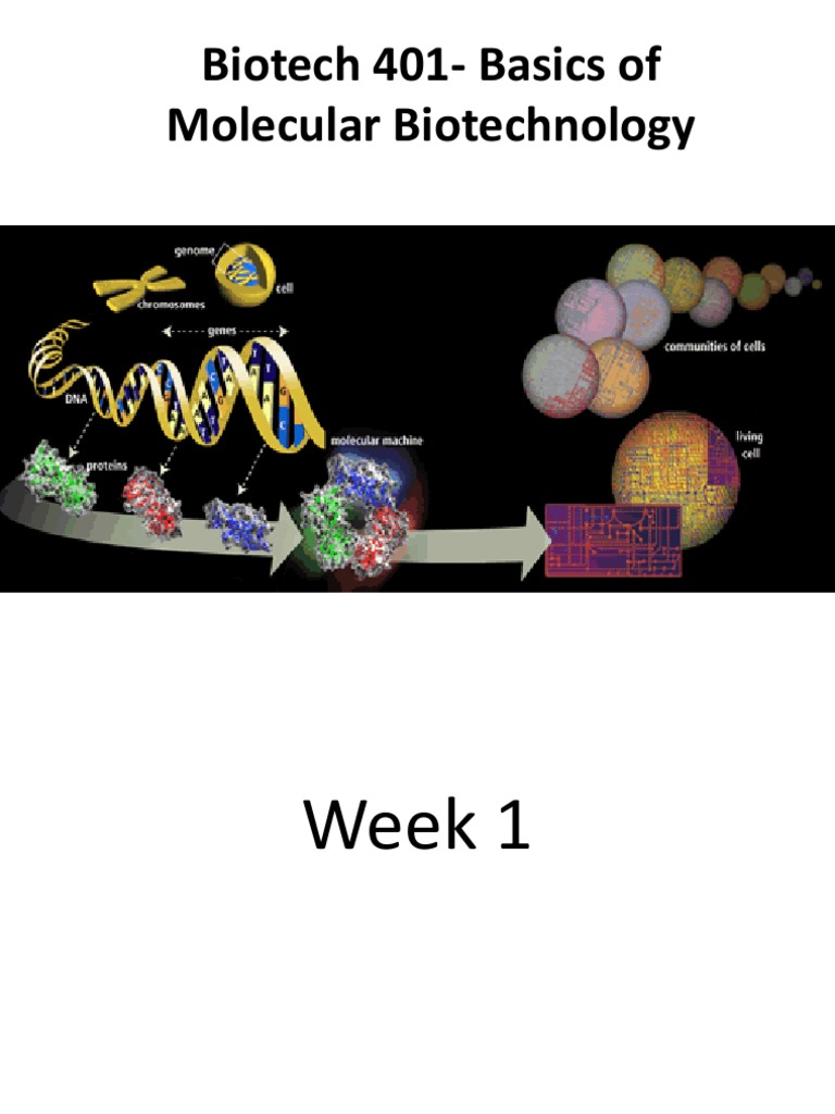 Biotec-401 First 7 Weeks (Till Mid) | PDF | Translation (Biology) | Dna Replication